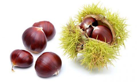 El otoño nos regala un fruto delicioso; La castaña